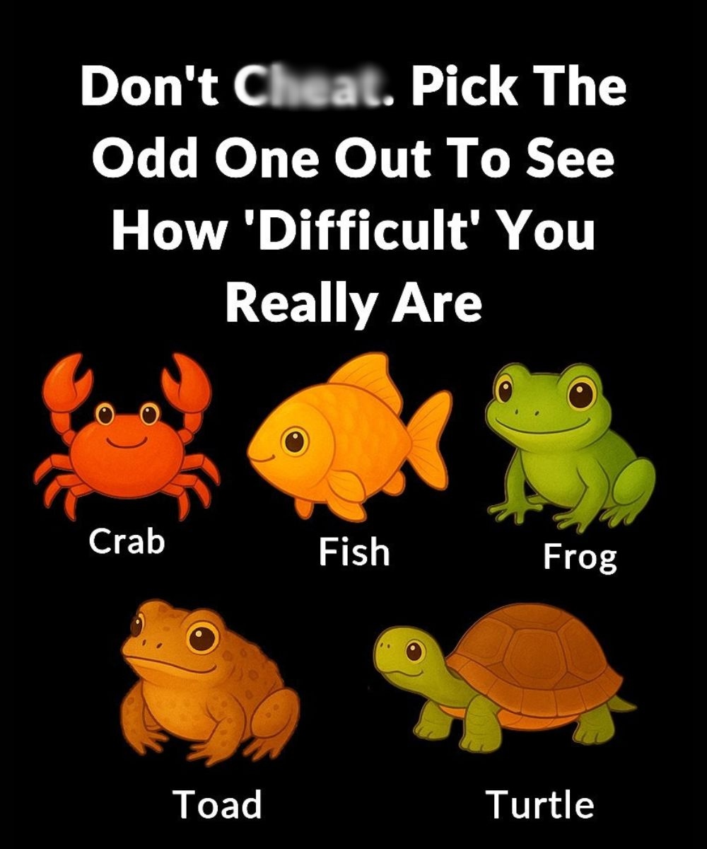 “Don’t cheat—pick the odd one out in this visual puzzle to discover how ...