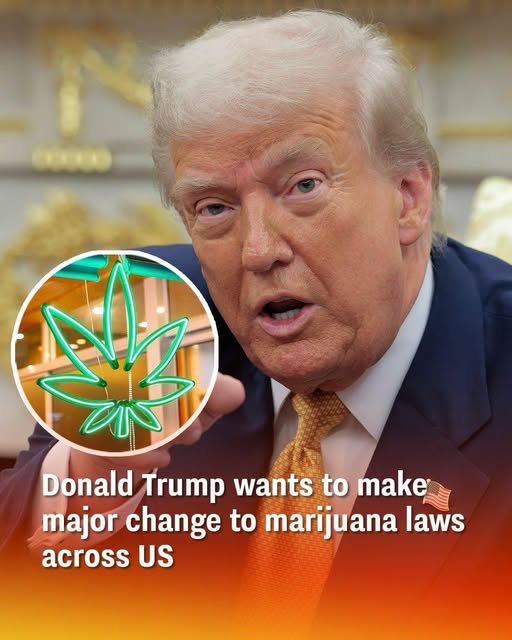 Federal drug policy discussions signal a major shift in cannabis ...
