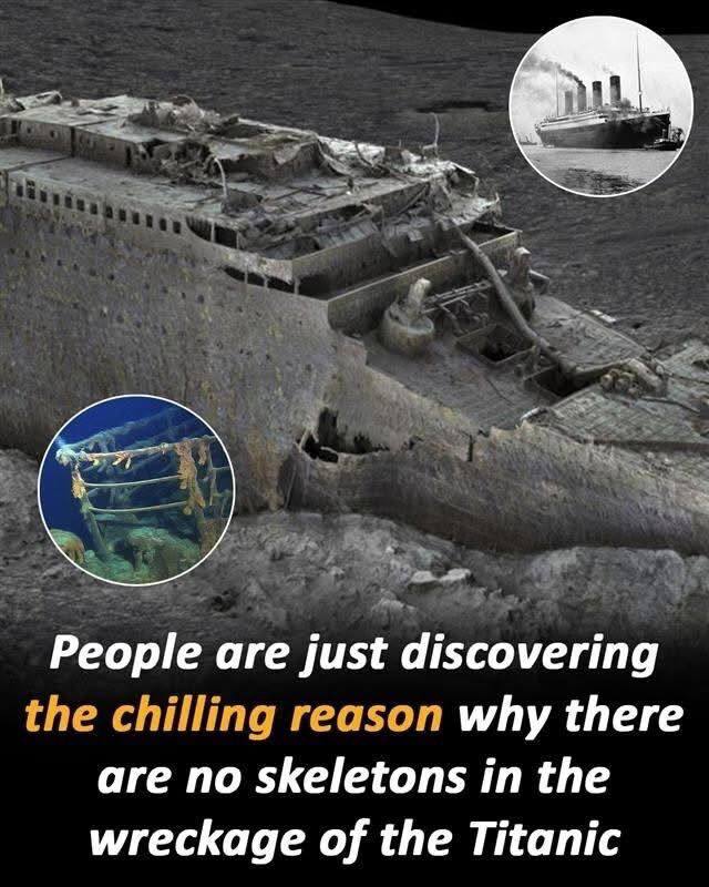 The mysterious absence of bodies in Titanic’s wreckage continues to ...