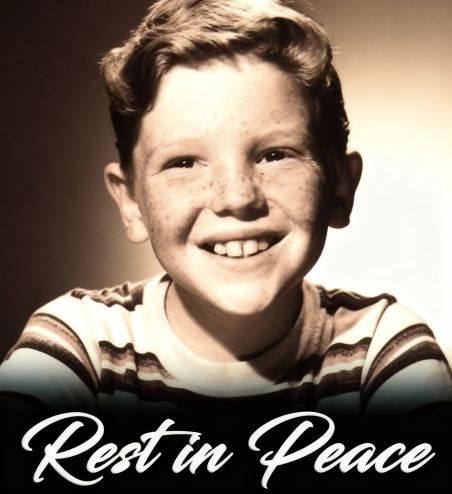 Remembering the Beloved ‘Leave It to Beaver’ Actor Who Passed Away at ...