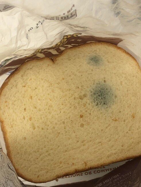 Is Stale Bread Safe to Eat? What Food Safety Experts Say About Mold ...