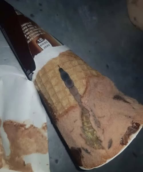 MY DAUGHTER OPENED A CHOCOLATE ICE CREAM AND FOUND A FROZEN SCORPION ...