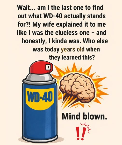 The Mystery Behind the Blue-and-Yellow Can: The Story of WD-40, From ...