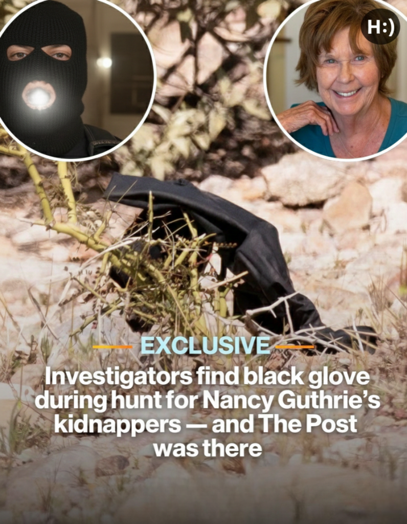 Investigators Uncover Ominous Black Glove During Ongoing Search for ...
