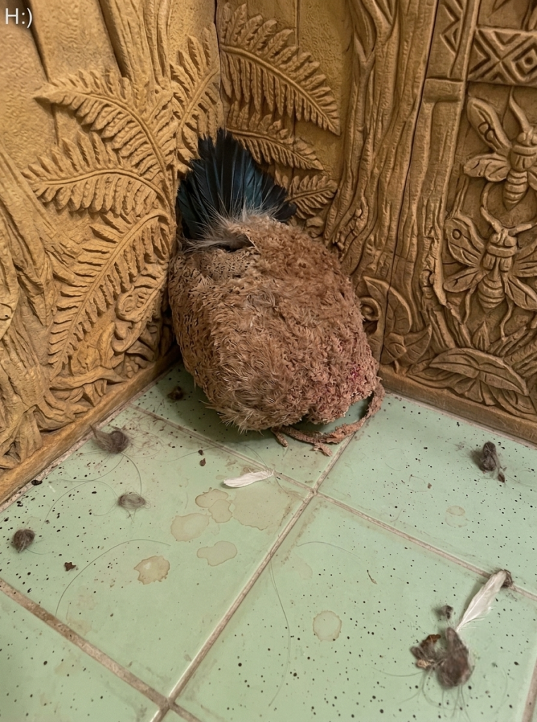We Returned Home From Vacation and Found a Mysterious Wall Object ...